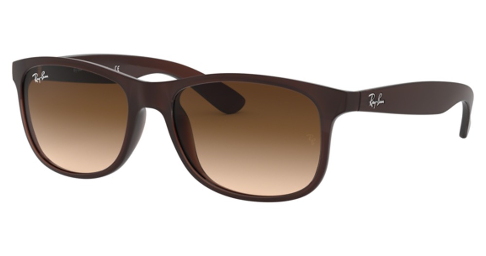 Ray-Ban RB4202 Sunglasses