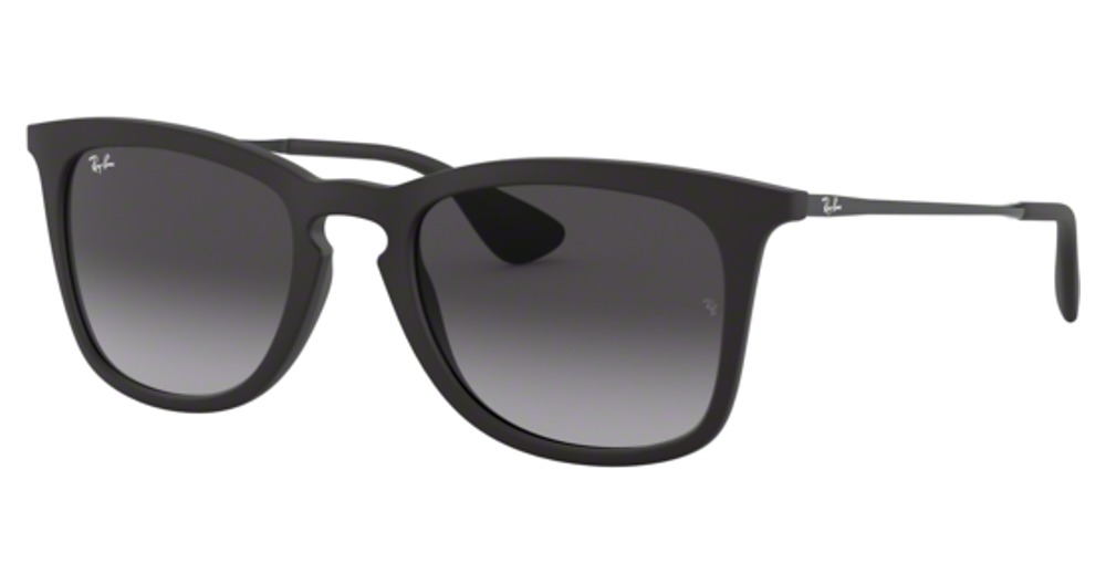 Ray-Ban RB4221 Sunglasses